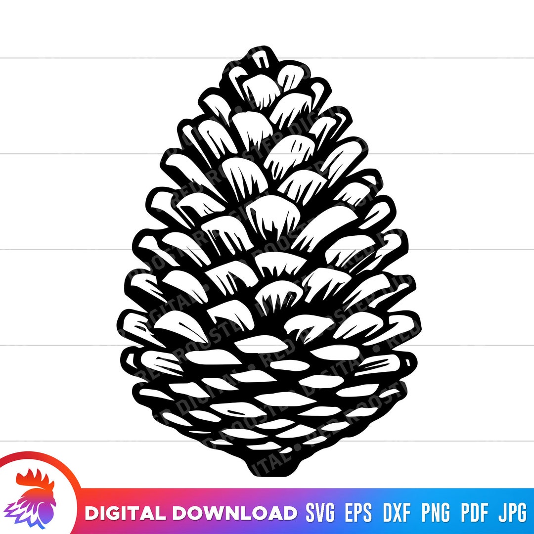 Pinecone Svg, Pine Cone, Pinecone Clipart, Pinecone Vector, Pine Tree ...