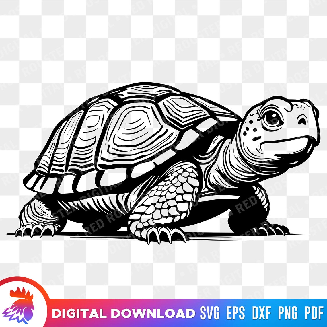 Box Turtle Svg, Turtle SVG, Turtle Cut File, Turtle Clipart, Printable ...