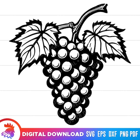 Clipart De Raisin Noir Et Blanc