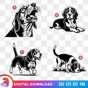 Beagle Dog SVG Bundle, Beagle Svg, Svg Bundle, Beagle Dog Breed, Beagle ...