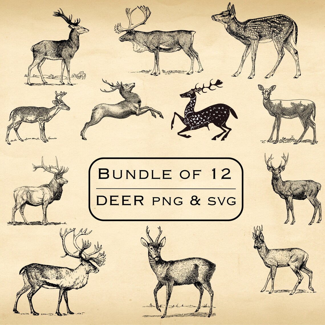 12 Deer Bundle Svgdeer Svg Deer Png Nature Deer Svg File - Etsy