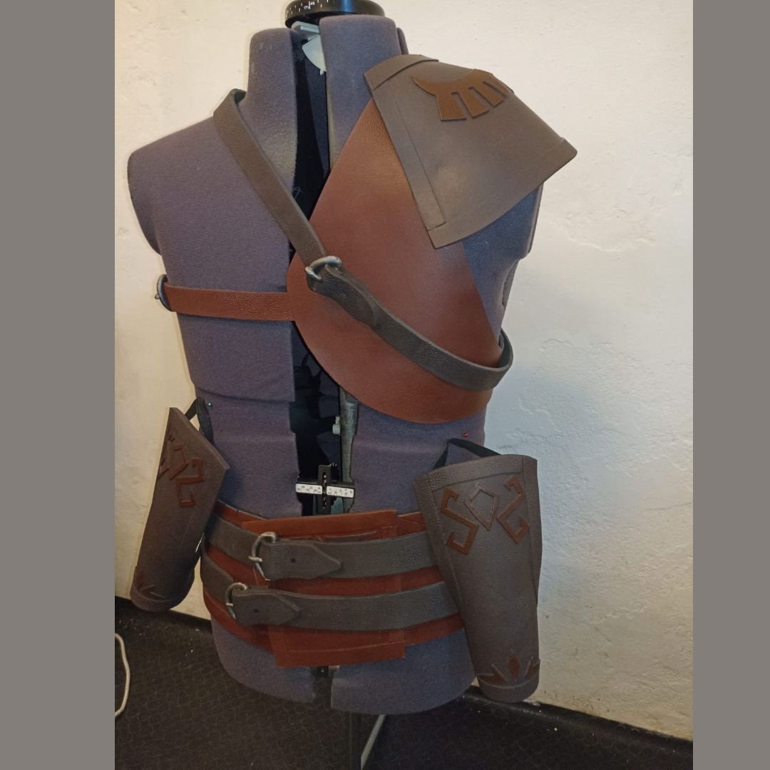 Zelda Breath of the Wild LINK Hylian Shield, Master Sword, Armor no ...