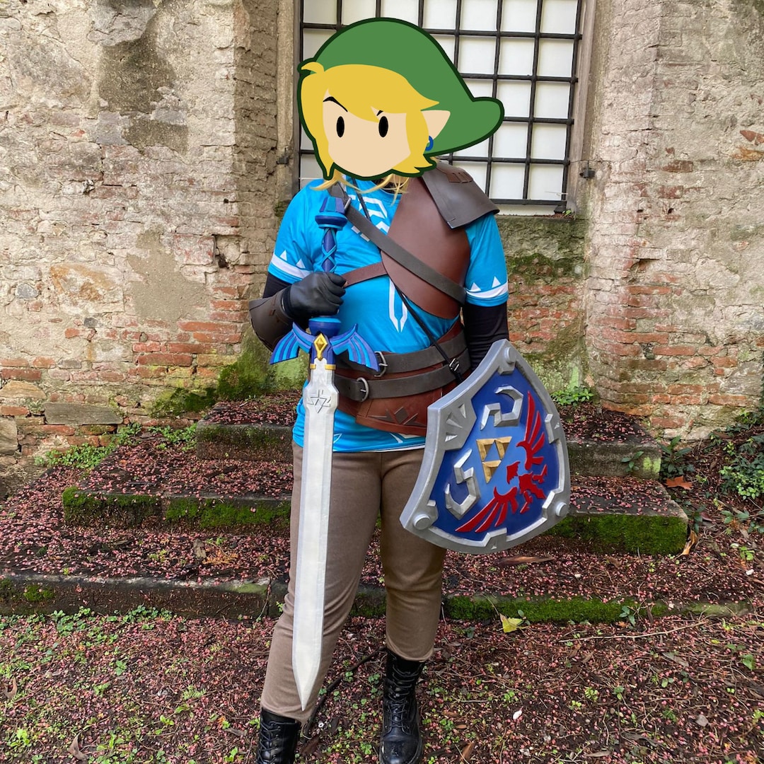 Zelda Breath of the Wild - LINK Hylian Shield, Master Sword, Armor (no ...