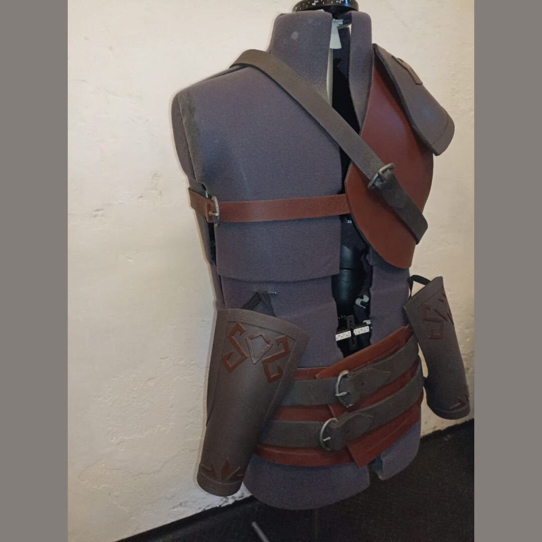 Zelda Breath of the Wild LINK Hylian Shield, Master Sword, Armor no ...
