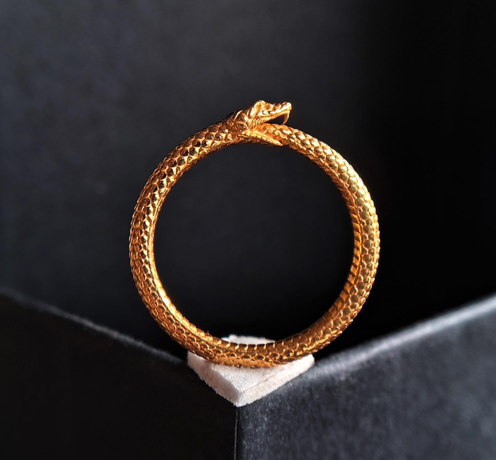 Ouroboros Snake Solid Silver Band Ring,snake Eating Tail Ring,ouroboros ...