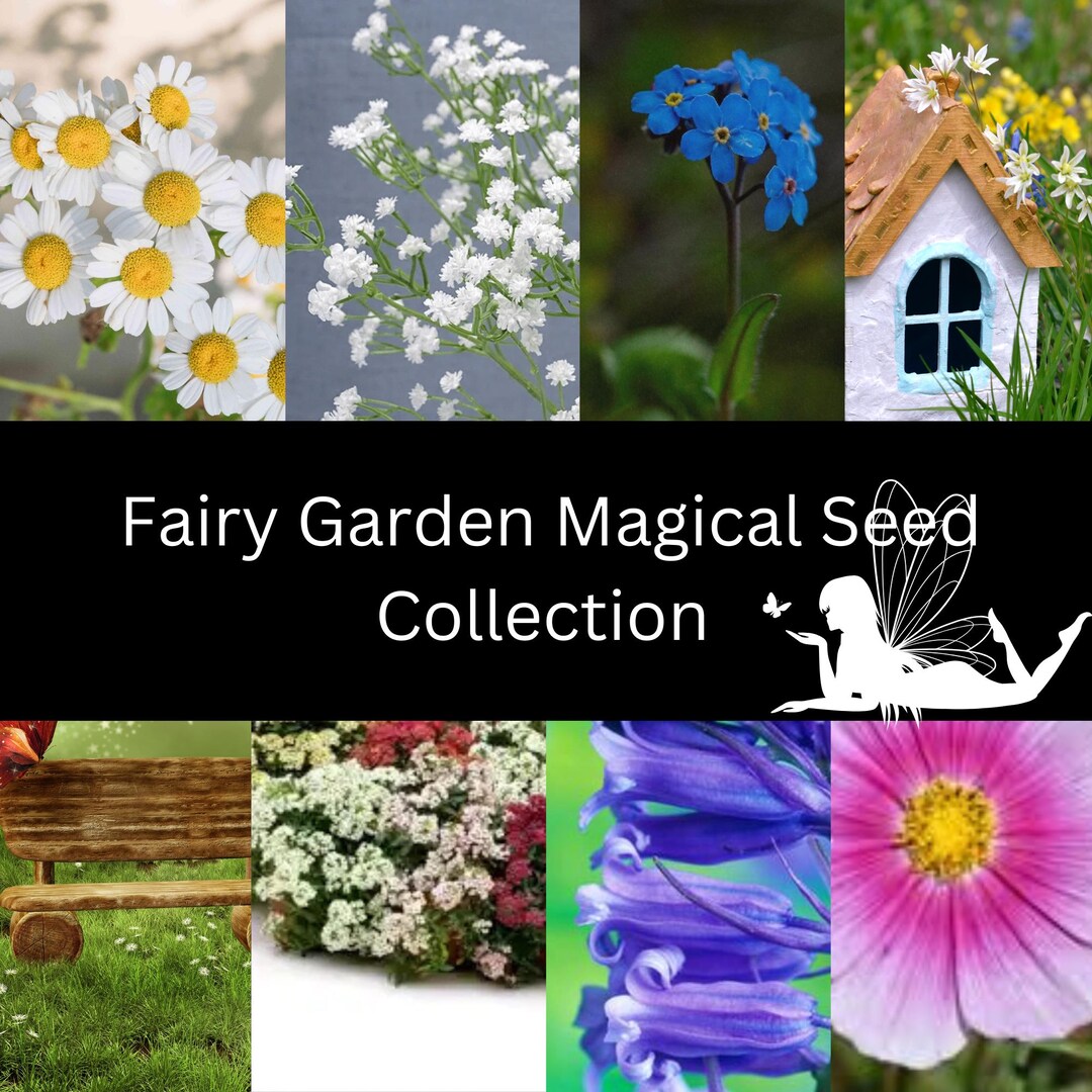 Fairy Garden Kit: Enchanted Seeds for a Magical Spring - Etsy