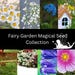 Fairy Garden Kit: Enchanted Seeds for a Magical Spring - Etsy