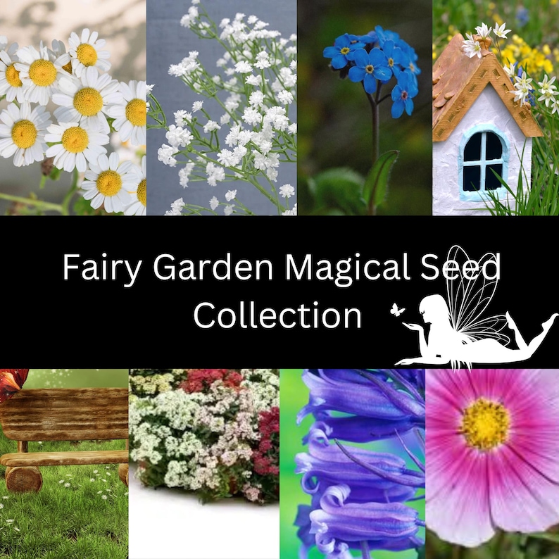 Fairy Garden Kit: Enchanted Seeds for a Magical Spring - Etsy