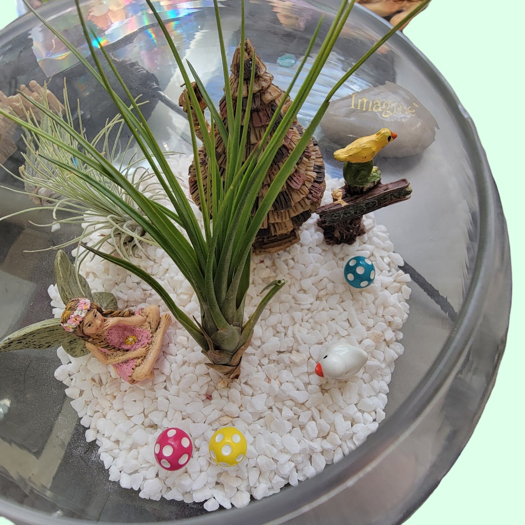 Enchanted Fairy Garden Terrarium Kit With Air Plants-gift-birthday-low ...