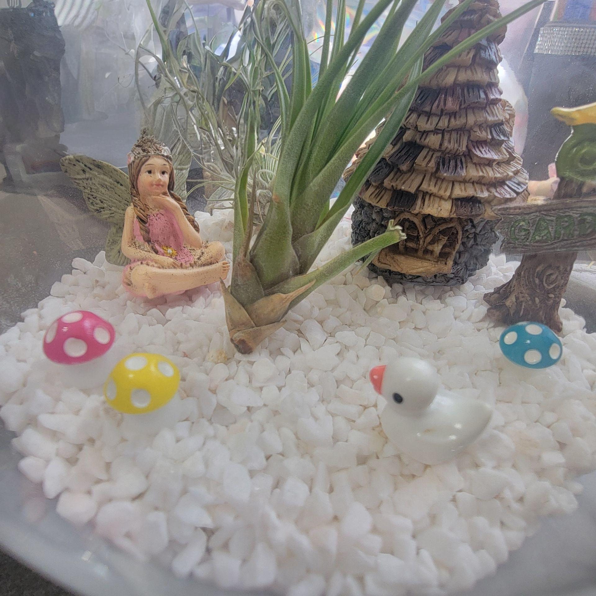 Enchanted Fairy Garden Terrarium Kit With Air Plants-gift-birthday-low ...