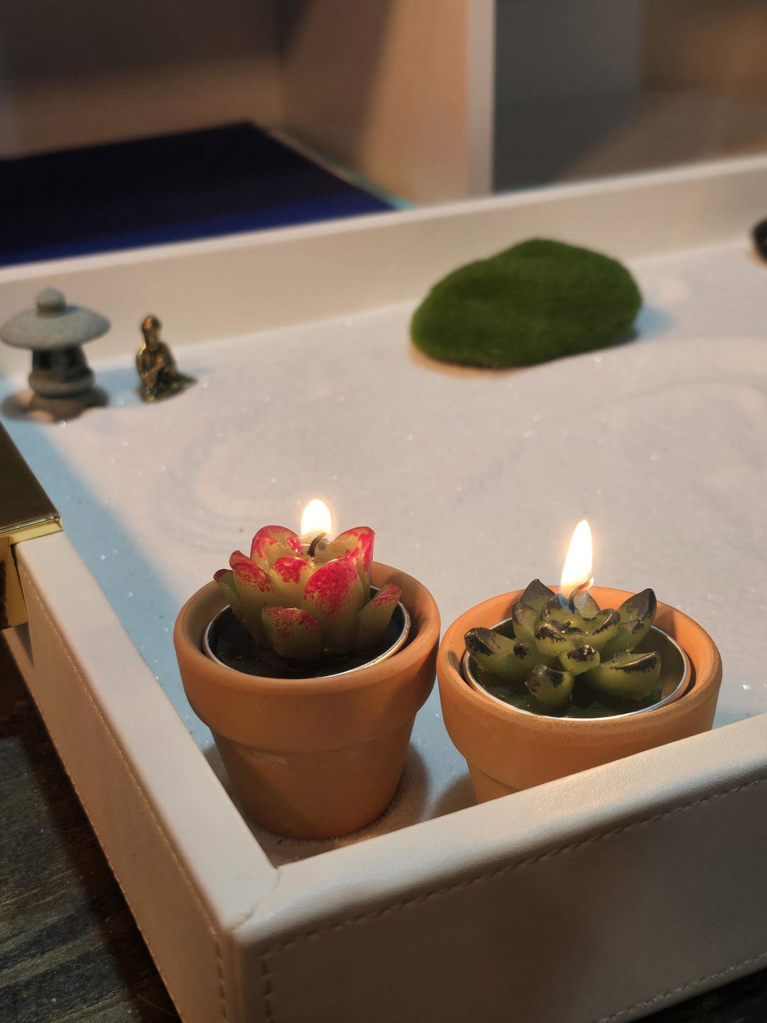 Elegant Zen Garden With Candle Succulents for Relaxation and ...