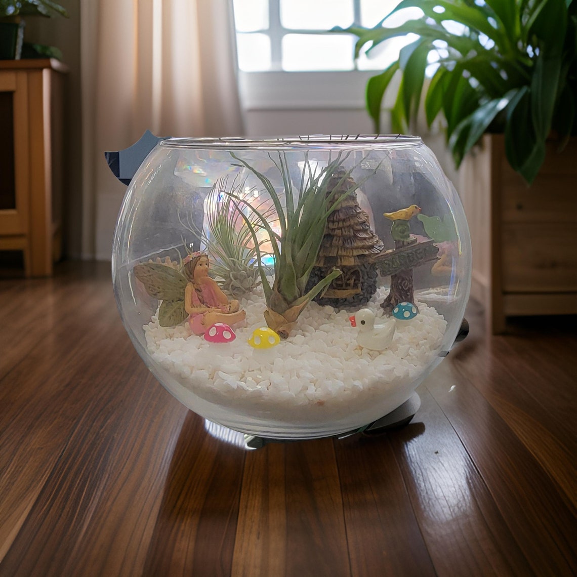 Enchanted Fairy Garden Terrarium Kit With Air Plants-gift-birthday-low ...