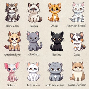 100 Cute Cats Clipart Bundle Kitten Png Bundle Kitten Clipart Bundle ...