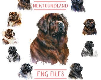 Newfoundland NFLD SVG - Etsy Canada