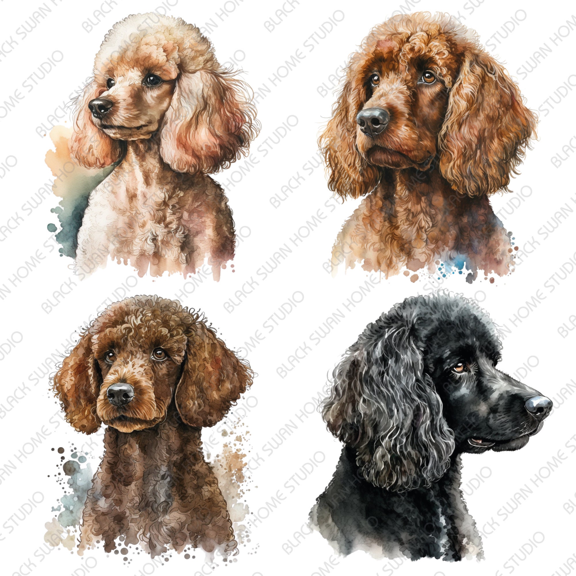 Poodle Clip Art Files Poodle Cutfile Bundle Poodle Lovers - Etsy UK