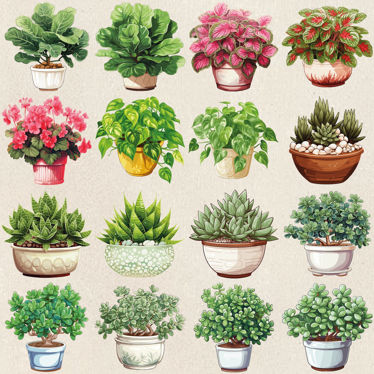 100+ Home Plants Clipart Bundle House Plants Png Set Indoor Plants ...