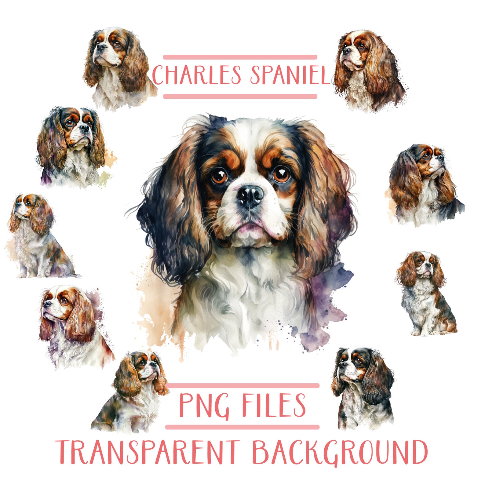King Charles Cavalier Spaniel Png Bundle, Cavalier King Charles Spaniel ...