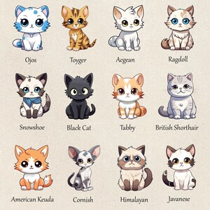 100 Cute Cats Clipart Bundle Kitten Png Bundle Kitten Clipart Bundle ...