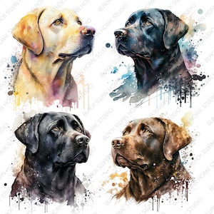 Labrador Clipart Png Bundle, Labrador Retriever Png Pack, Dog Png File ...