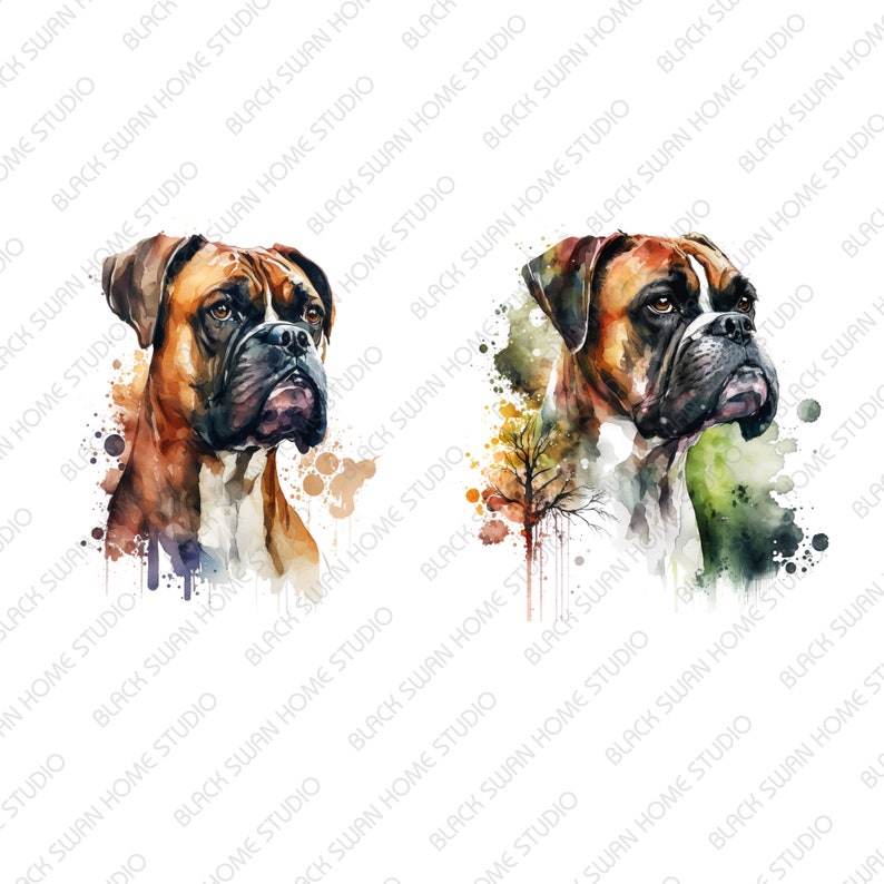 Boxer Clip Art Png File Boxer Dog Png Bundle Dog Clip Art - Etsy