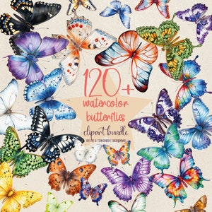 Watercolor Butterflies Clipart Bundle, Colorful Butterfly Png Bundle ...