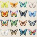 Watercolor Butterflies Clipart Bundle, Colorful Butterfly Png Bundle ...
