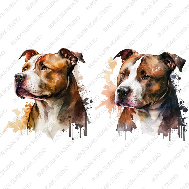 Pitbull Clipart Png Bundle Pitbull Terrier Png Pack Dog Png - Etsy