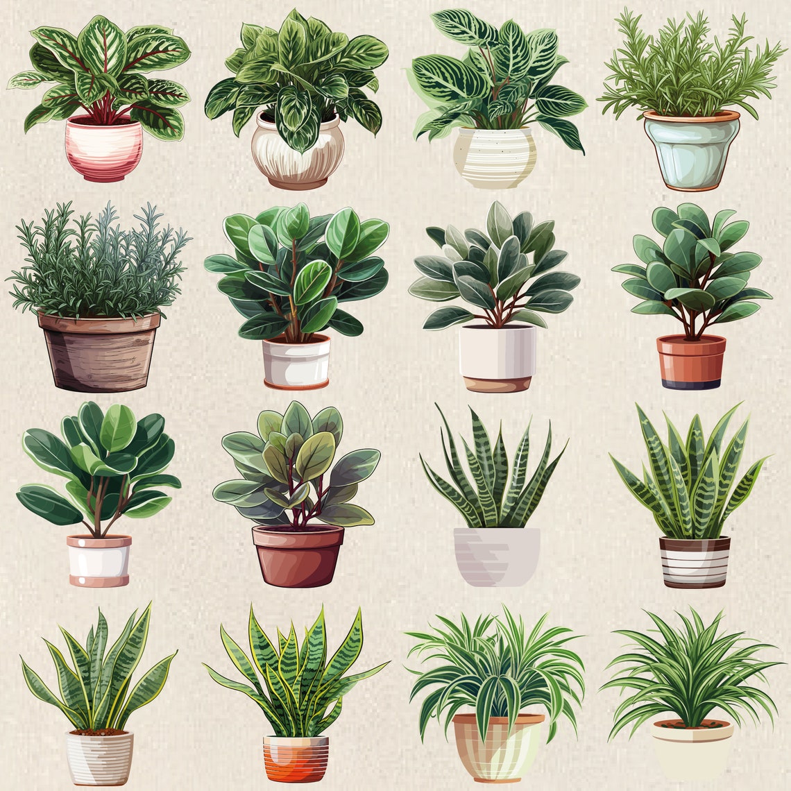 100+ Home Plants Clipart Bundle House Plants Png Set Indoor Plants ...