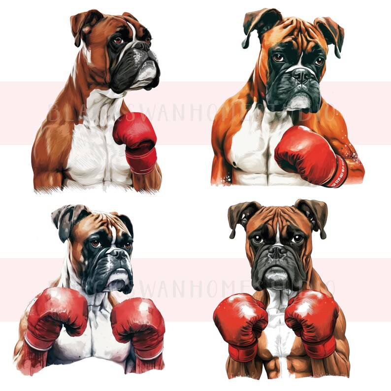 Boxer Dog Clip Art Png Bundle Funny Boxer Dog Png Bundle Dog - Etsy