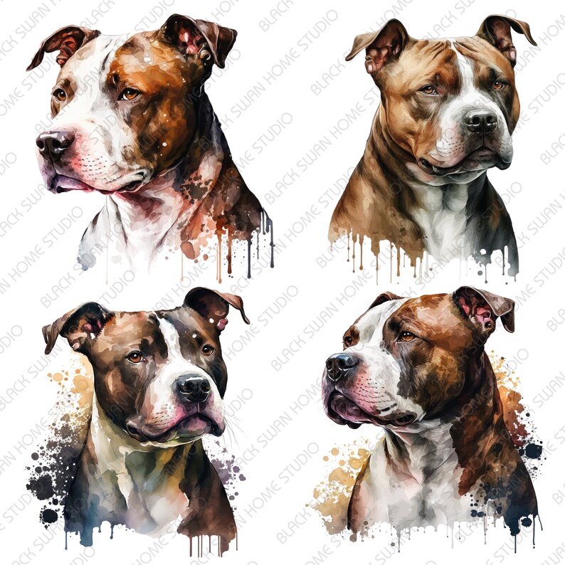 Pitbull Clipart Png Bundle Pitbull Terrier Png Pack Dog Png - Etsy