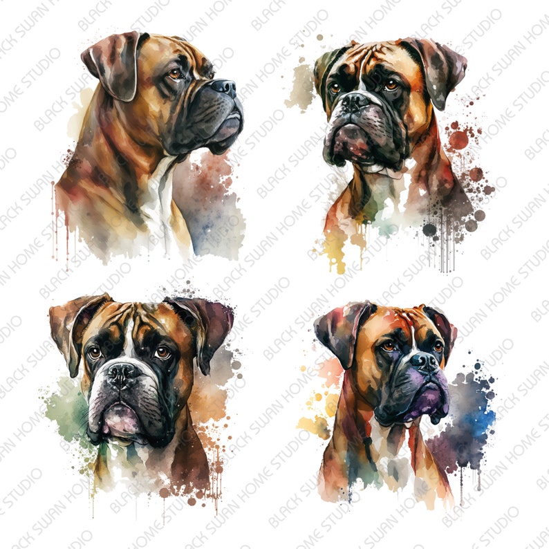 Boxer Clip Art Png File Boxer Dog Png Bundle Dog Clip Art - Etsy