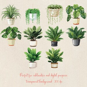 100+ Home Plants Clipart Bundle House Plants Png Set Indoor Plants ...