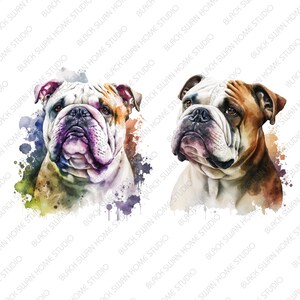 Bulldog Png File Bundle, Bulldog Digital Download, Bulldog Clip Art For ...