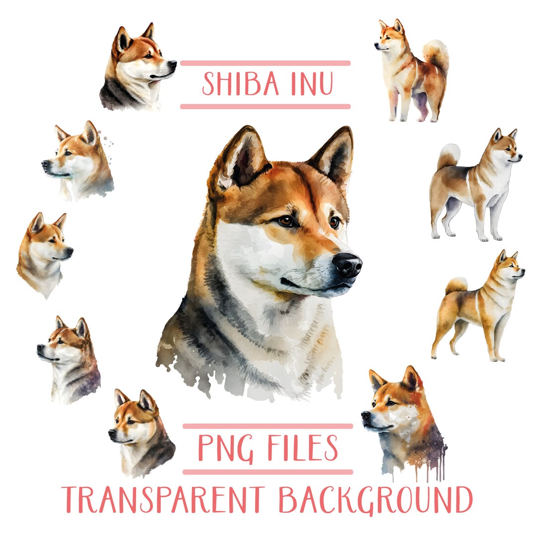 Shiba Inu Clipart Png Bundle, Shiba Inu Png Pack, Dog Png File, Dog ...