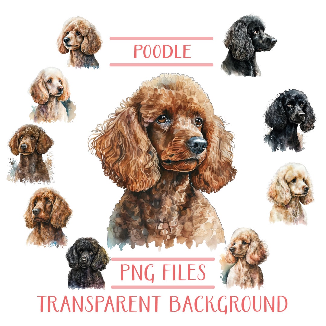 Poodle Clip Art Files, Poodle Cutfile Bundle, Poodle Lovers Gift Ideas ...