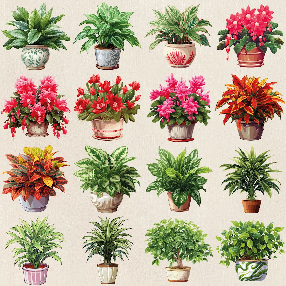 100+ Home Plants Clipart Bundle House Plants Png Set Indoor Plants ...