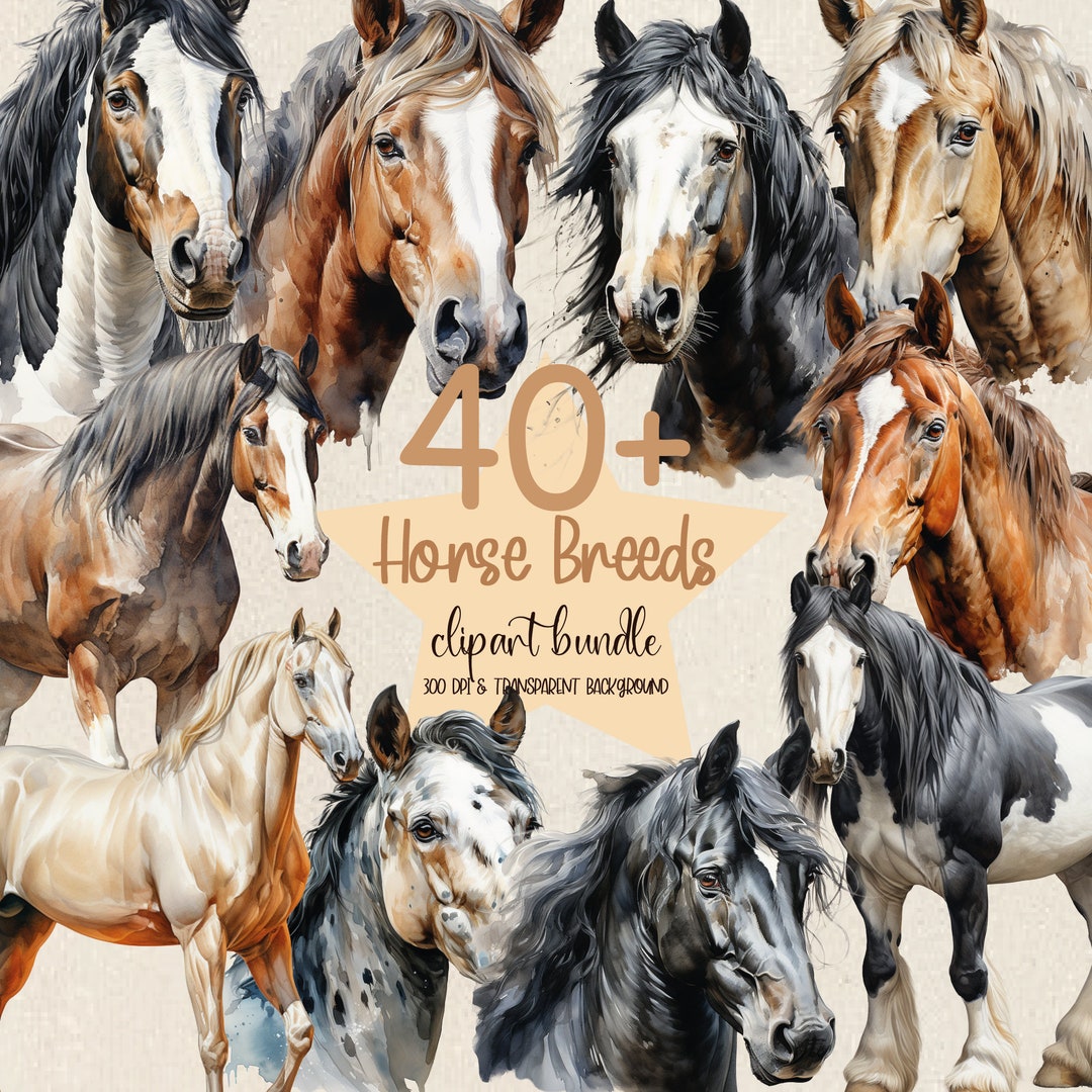 Watercolor Horse Clipart Bundle Horse Png Bundle Wild Horse Clipart Set ...