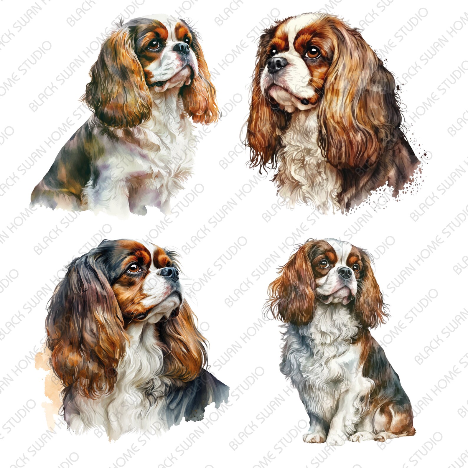 King Charles Cavalier Spaniel Png Bundle, Cavalier King Charles Spaniel ...