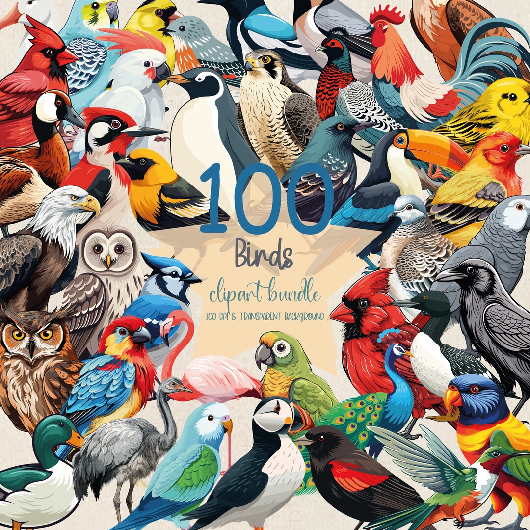 100 Birds Png Bundle Bird Clipart for Sublimation Bird Png for ...