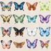 Watercolor Butterflies Clipart Bundle, Colorful Butterfly Png Bundle ...