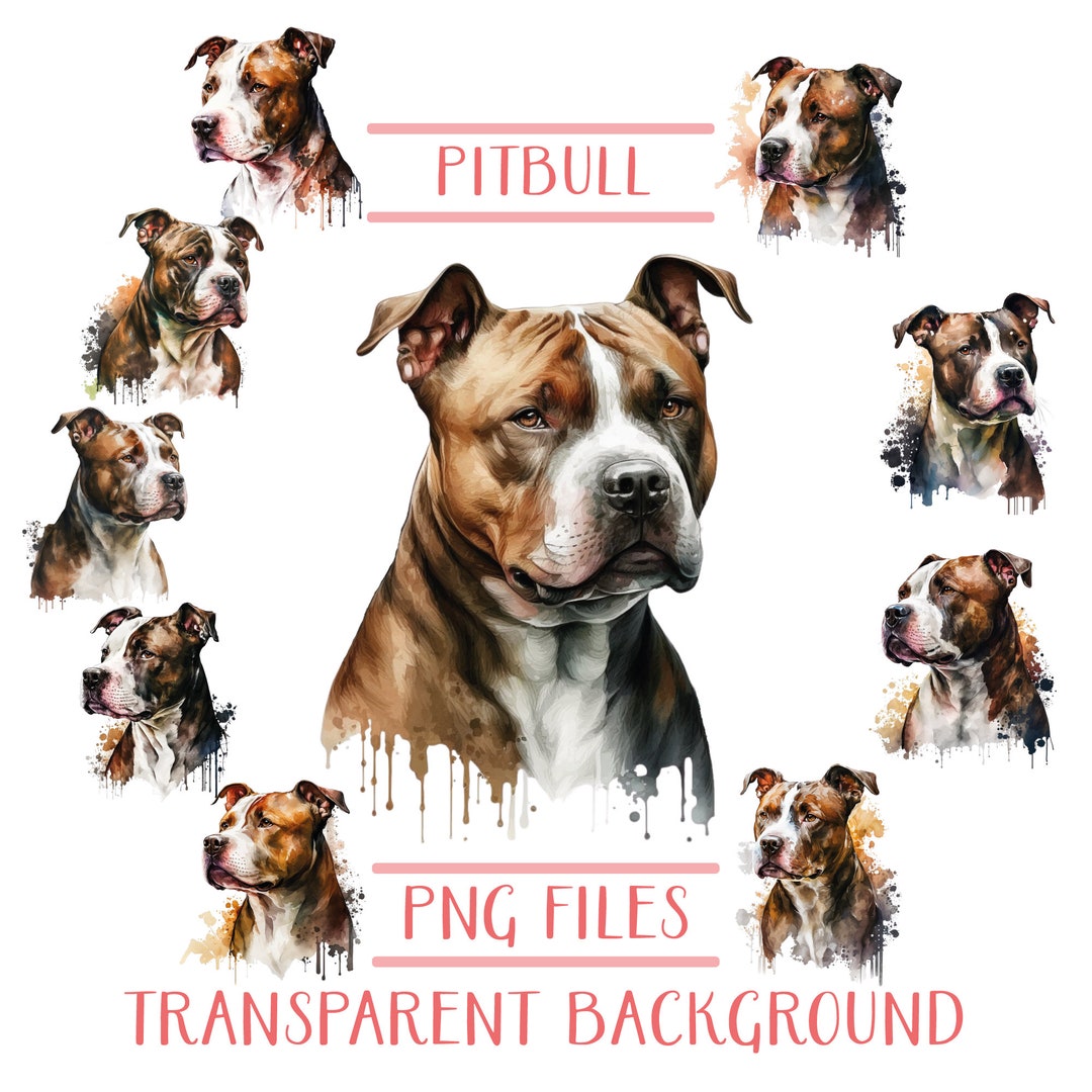 Pitbull Clipart Png Bundle, Pitbull Terrier Png Pack, Dog Png File, Dog ...