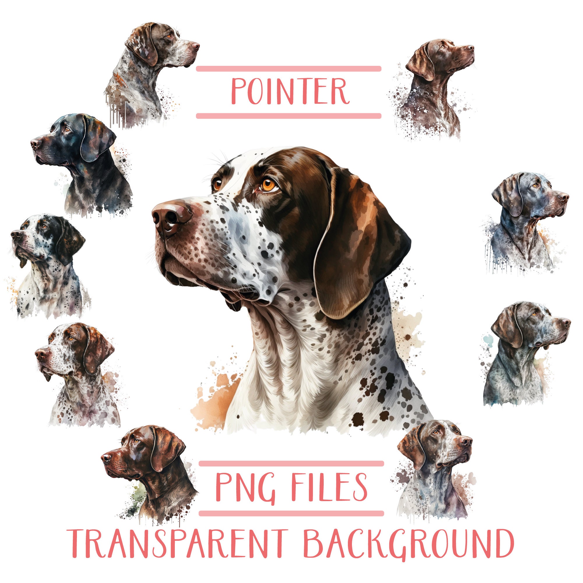 Short Hair Pointer Dog Bundle Pointer Clipart Bundle Pointer - Etsy