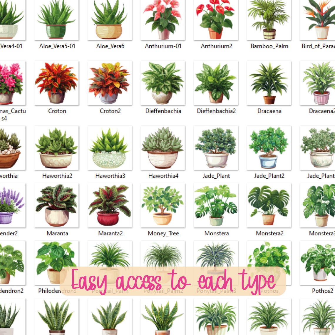100+ Home Plants Clipart Bundle House Plants Png Set Indoor Plants ...