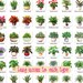 100 Home Plants Clipart Bundle House Plants Png Set Indoor - Etsy