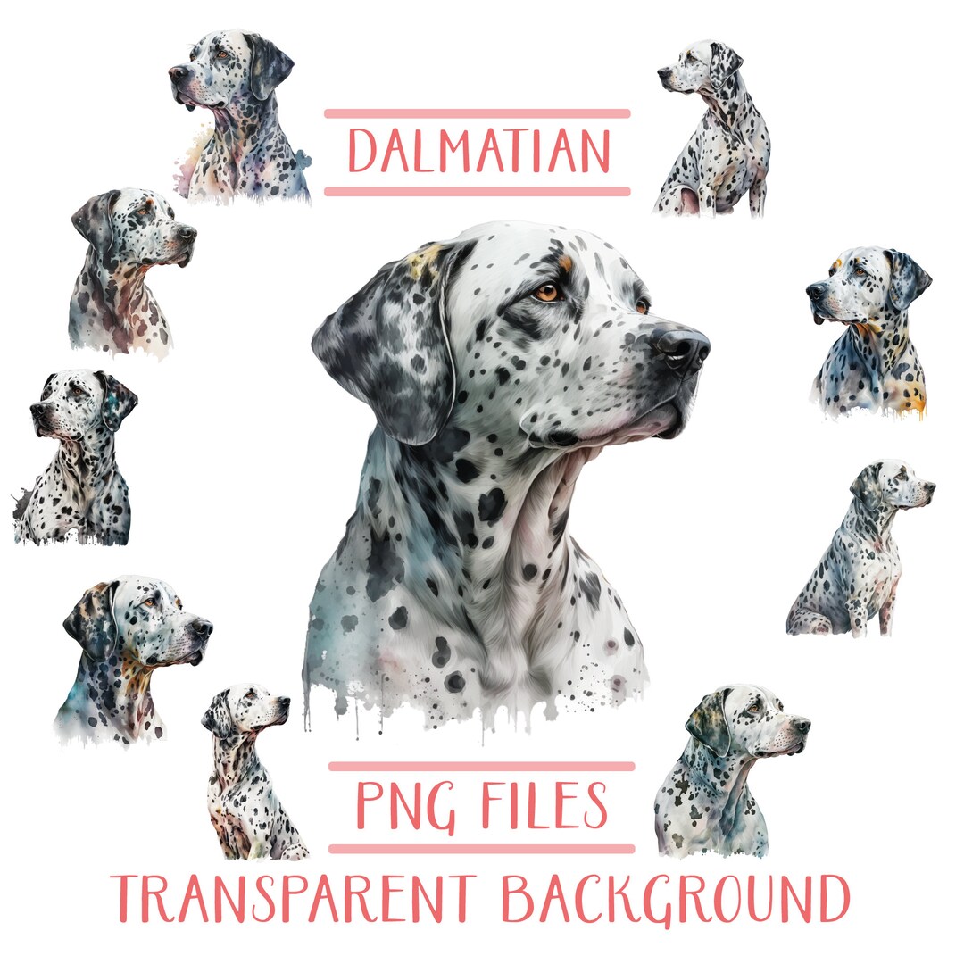 Dalmatians Cut File Bundle, Dalmatians Painting Png Bundle, Dalmatian ...