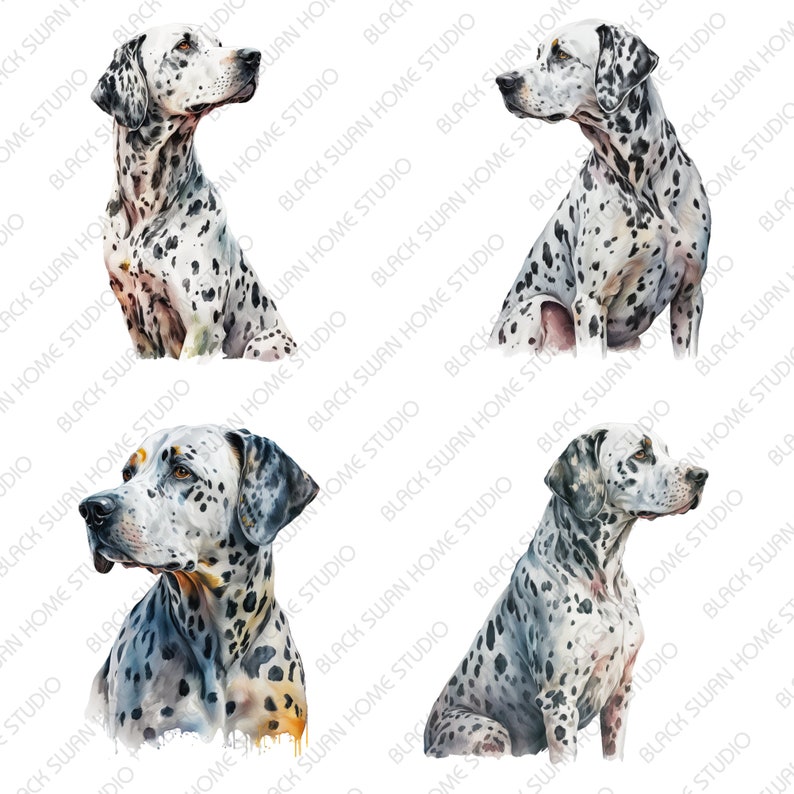 Dalmatians Cut File Bundle Dalmatians Painting Png Bundle - Etsy