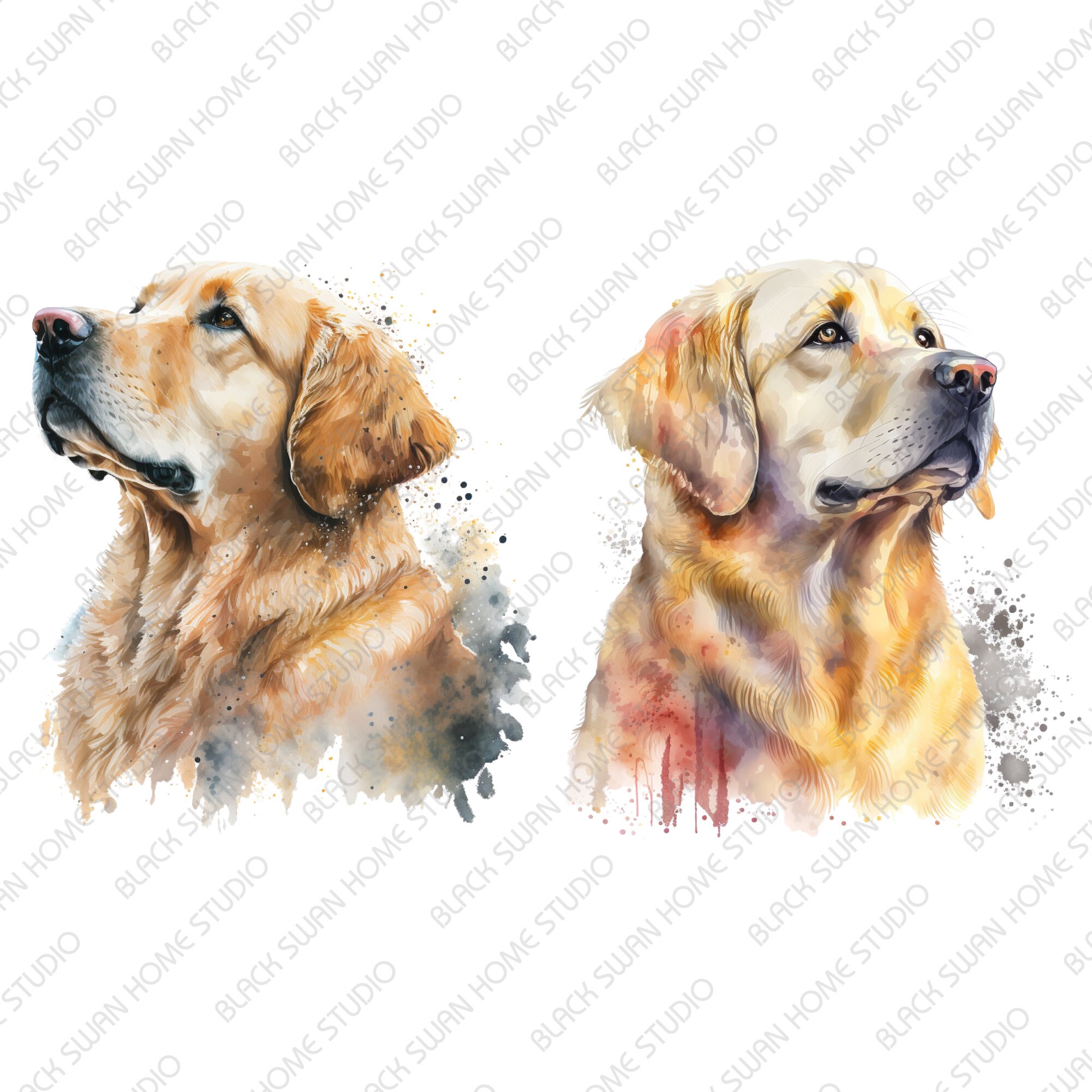 Golden Retriever Clipart Bundle Golden Retrievers Png Files - Etsy