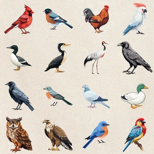 100 Birds Png Bundle Bird Clipart for Sublimation Bird Png for ...