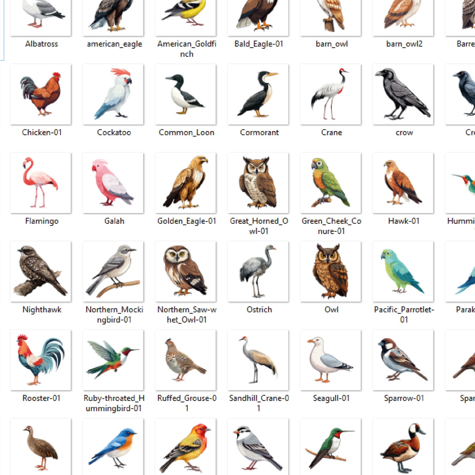 100 Birds Png Bundle Bird Clipart for Sublimation Bird Png for ...