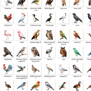 100 Birds Png Bundle Bird Clipart for Sublimation Bird Png for ...